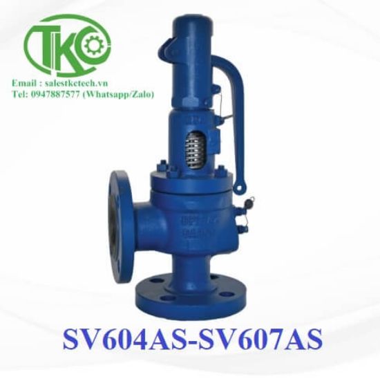 Van an toàn SV604AS Spirax Sarco SV607DS - Công Ty TNHH Thương Mại Kỹ Thuật TKC