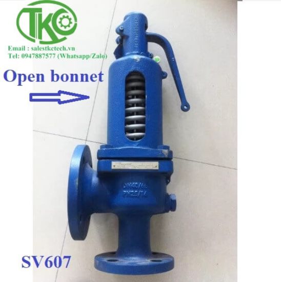 Van an toàn SV604AS Spirax Sarco SV607DS - Công Ty TNHH Thương Mại Kỹ Thuật TKC
